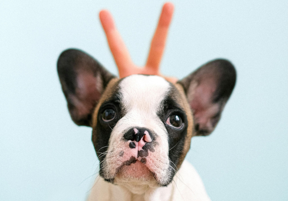 How to Crop a Horizontal Video to Vertical: Simple Steps — Clideo