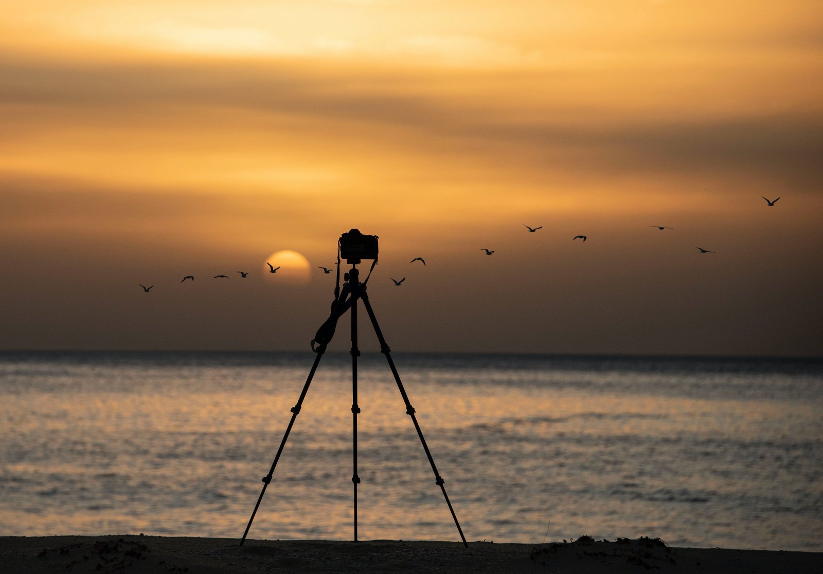 Tripod Meaning and Types — Clideo