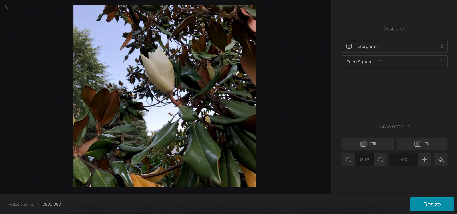 How to Fit the Whole Picture on Instagram — Clideo