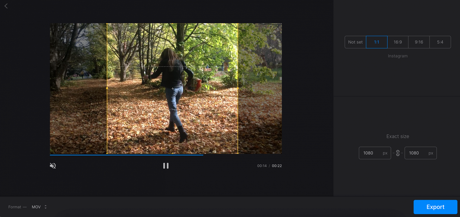 How to Crop a Video on Windows Online — Clideo