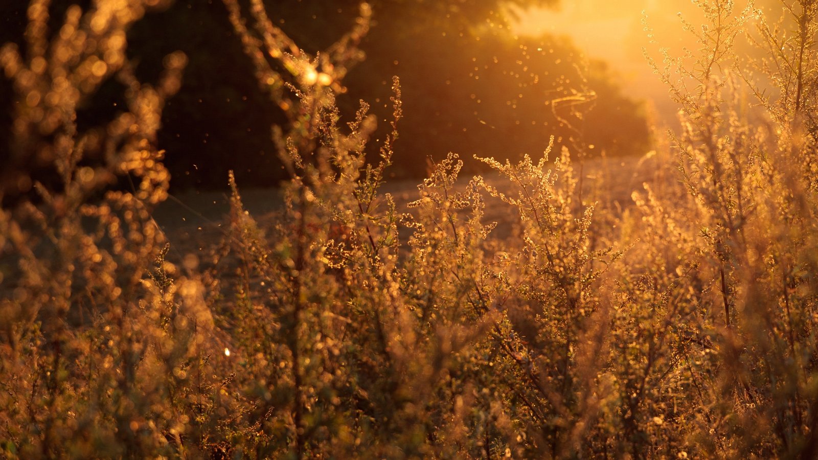 What is Blue Hour in Photography — Clideo