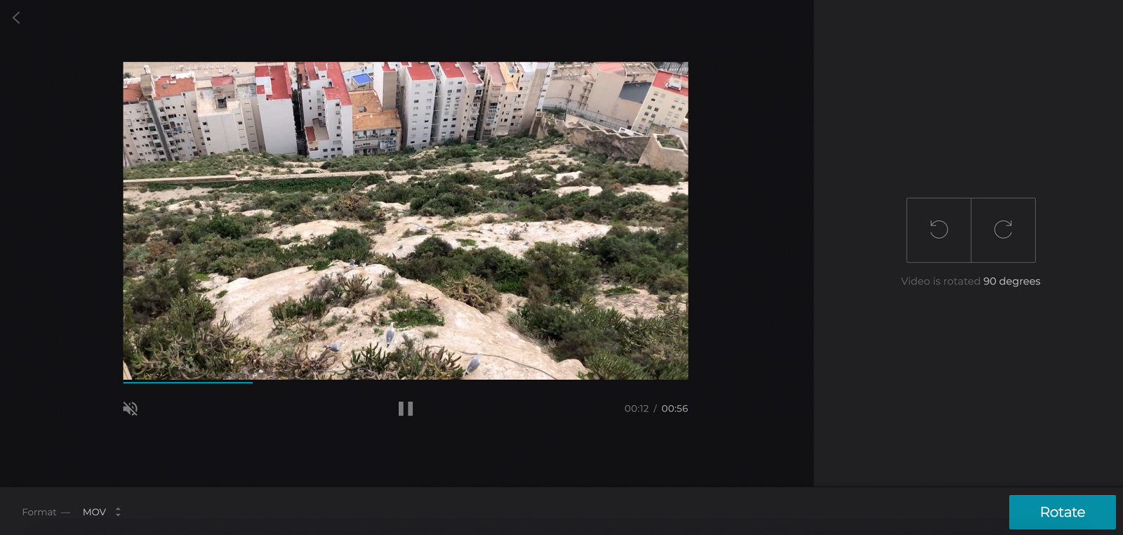 How to Rotate Video for Instagram on Any Device — Clideo