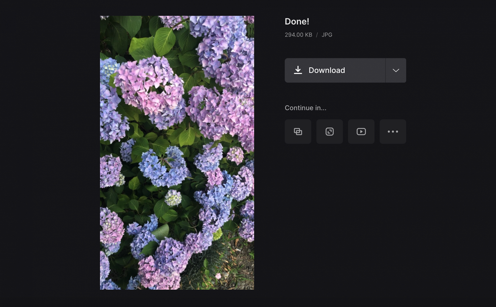 What is 600 DPI and How to Convert Your Image — Clideo