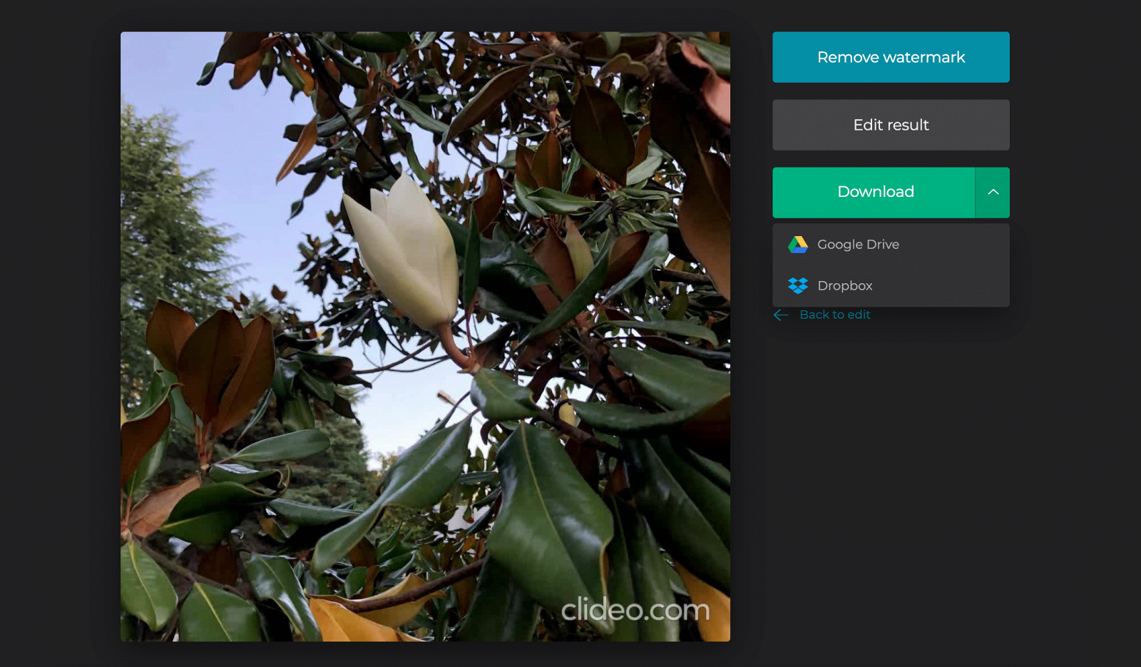 How to Fit the Whole Picture on Instagram — Clideo