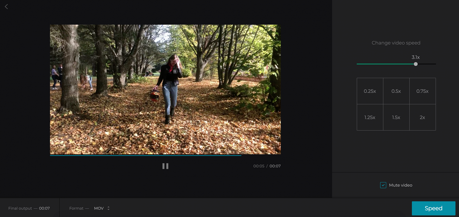 How to Make a Time Lapse Video — Clideo