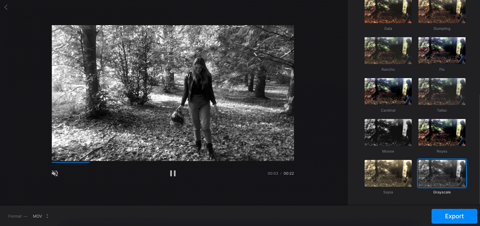 How to Convert Video to Grayscale — Clideo