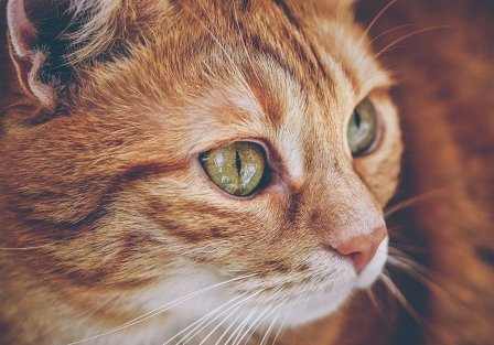 Just Move It: Basic Camera Movement Types for Your Vlog — Clideo