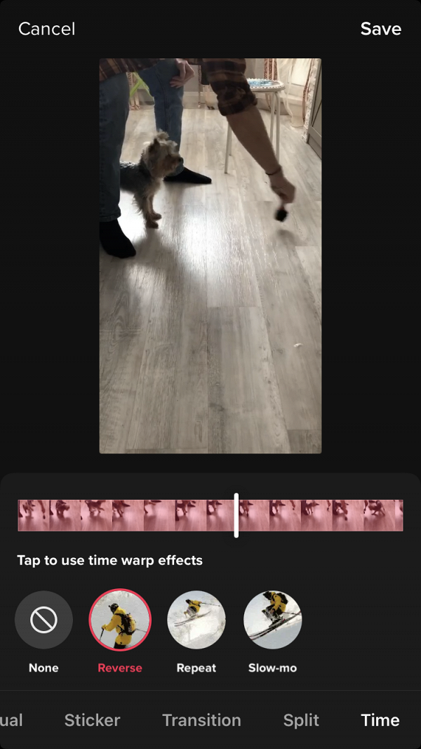 How to Reverse a Video for TikTok: 2 Ways — Clideo