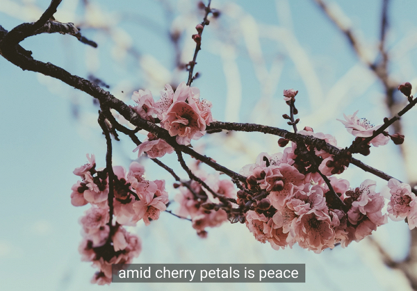 Add Subtitles to MP4 — Clideo