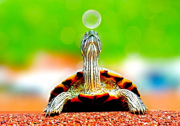 Merge GIF — Clideo