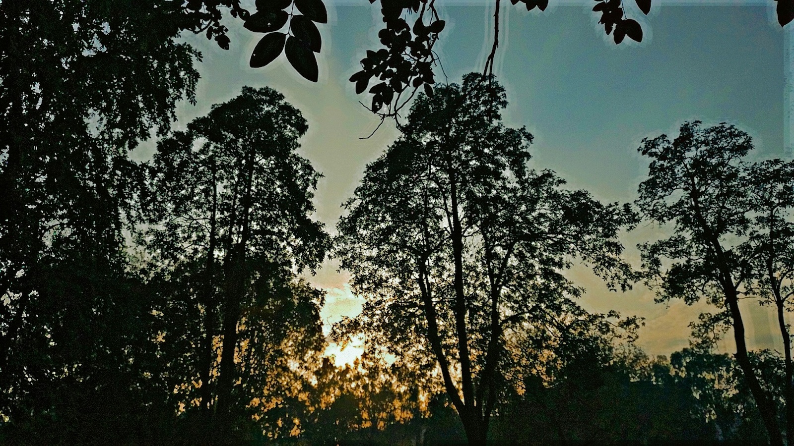 How to Change GIF Speed: Easy Methods & Best Tools — Clideo